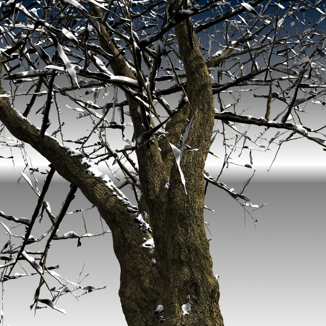 3d Winter Tree