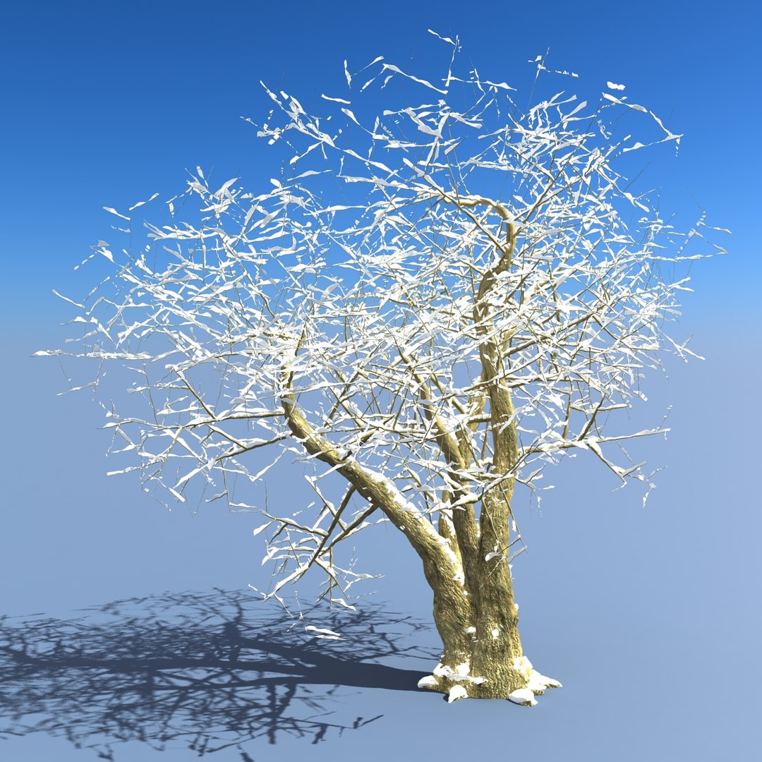 3d Winter Tree