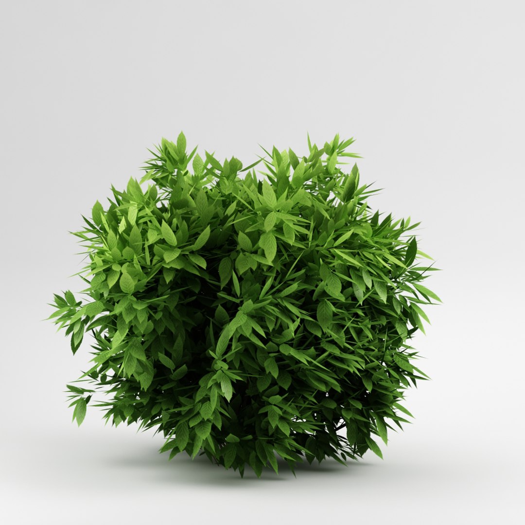 bush 3d model