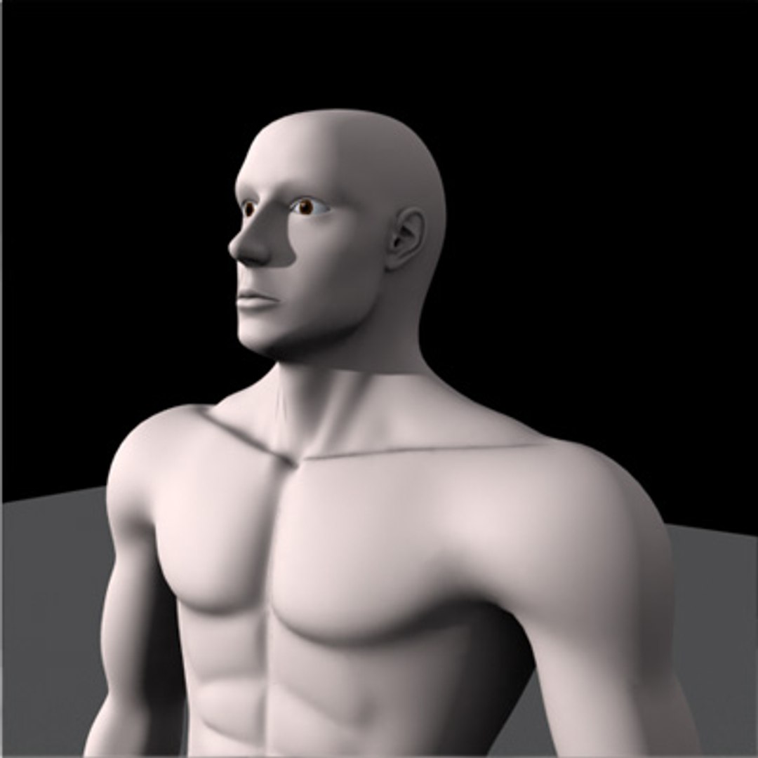 Human Body 3d Max