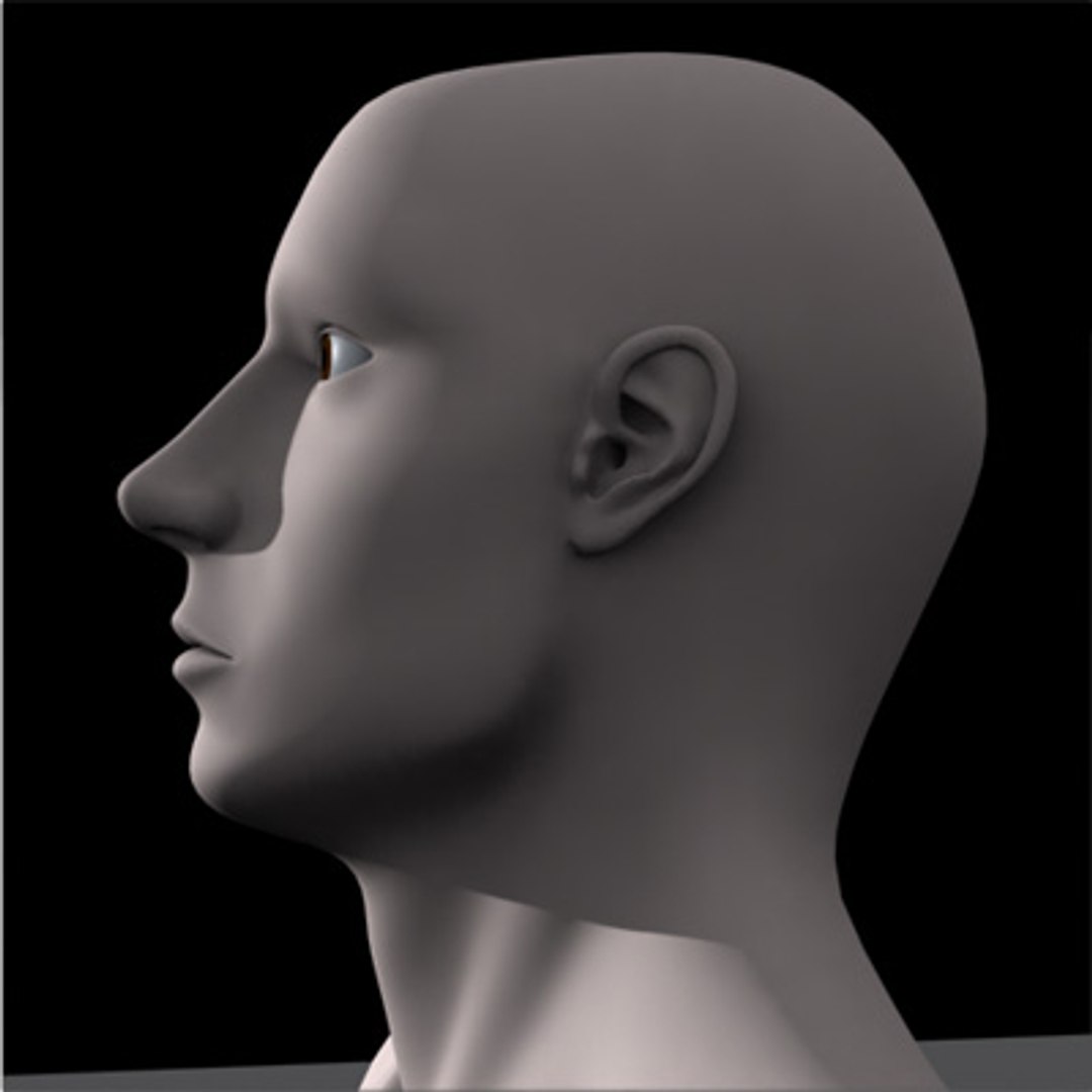 Human Body 3d Max