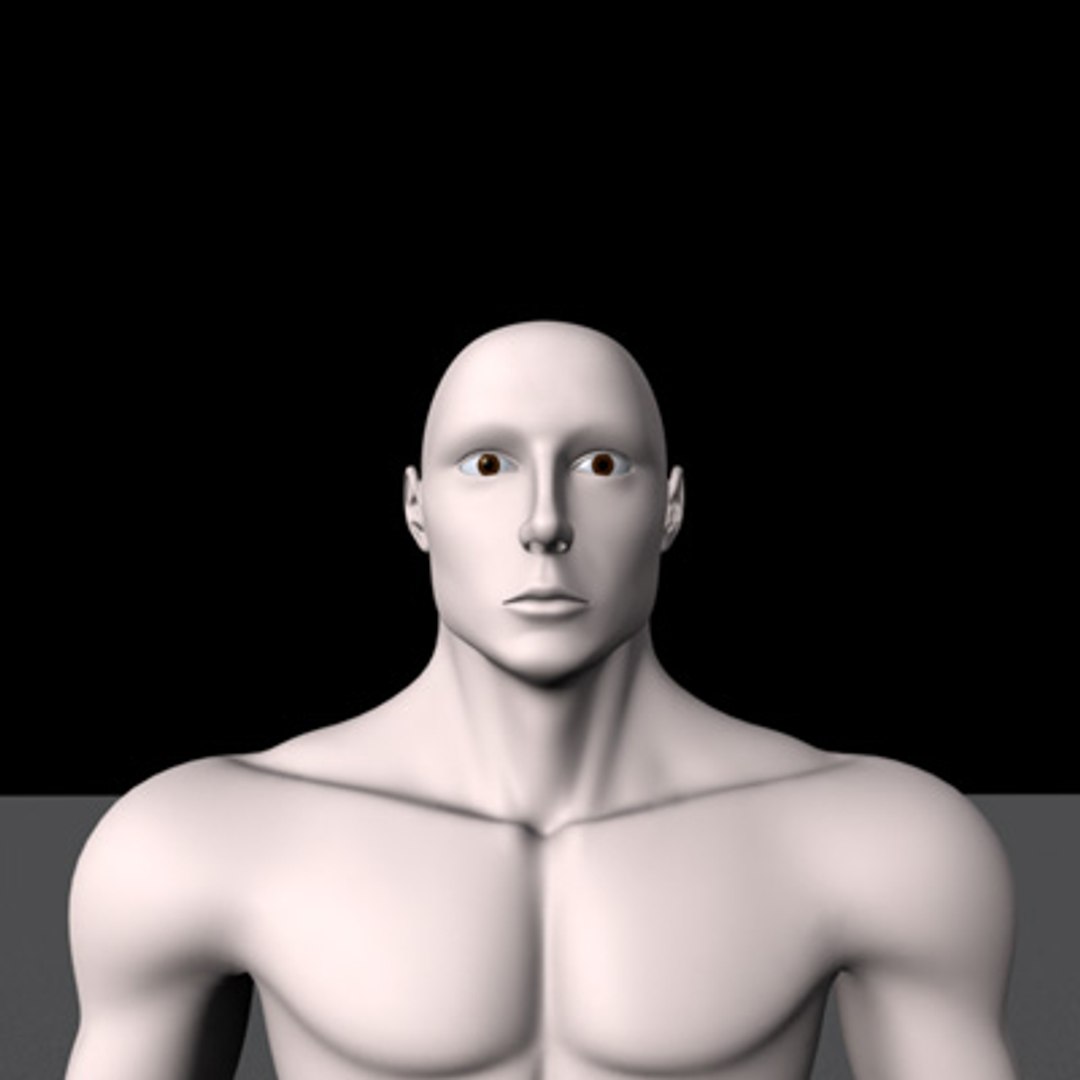 Human Body 3d Max