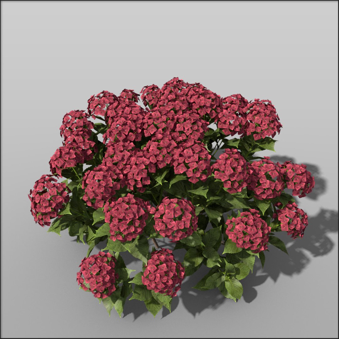 Flowers Gardens 3d C4d