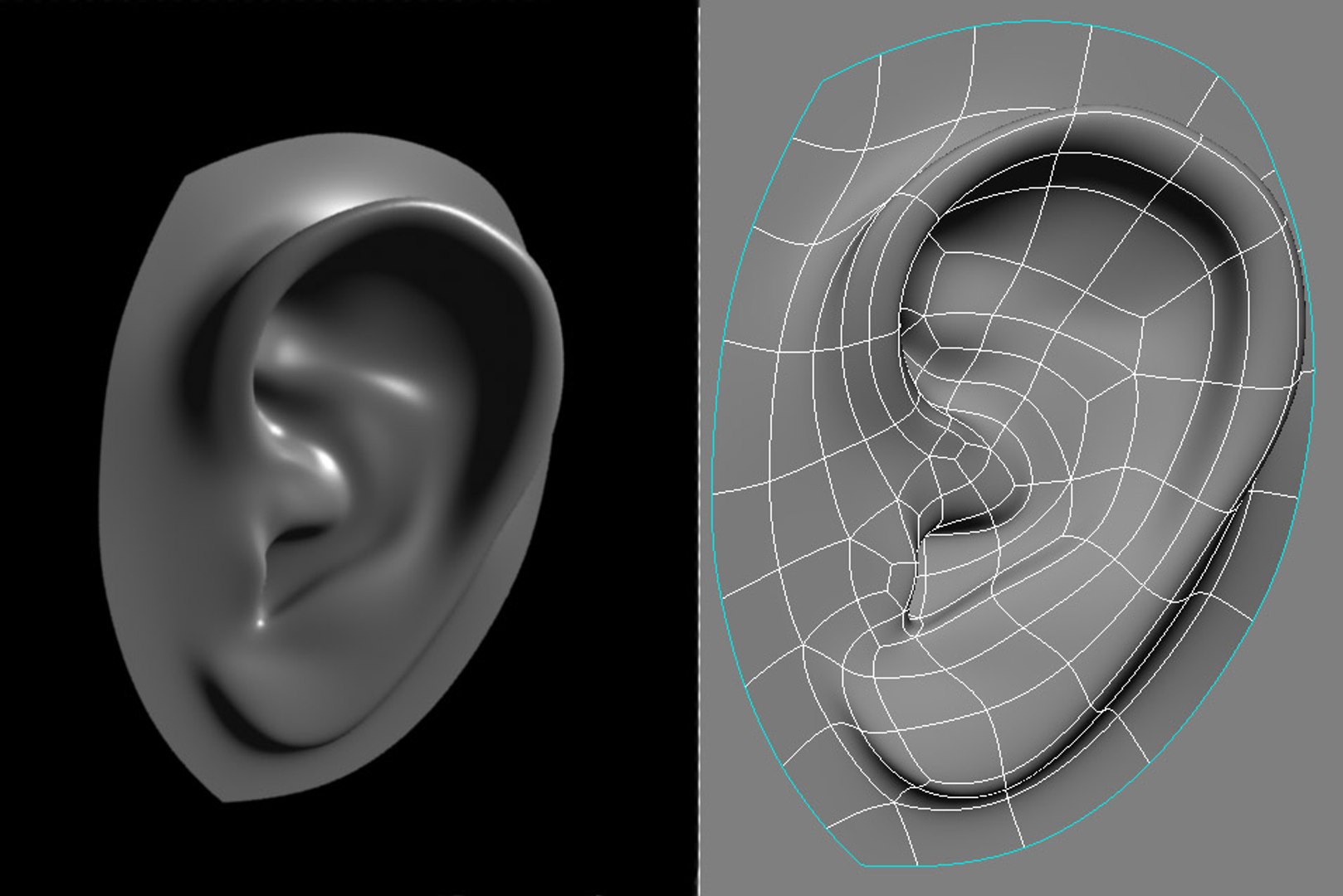 Obj Human Ear