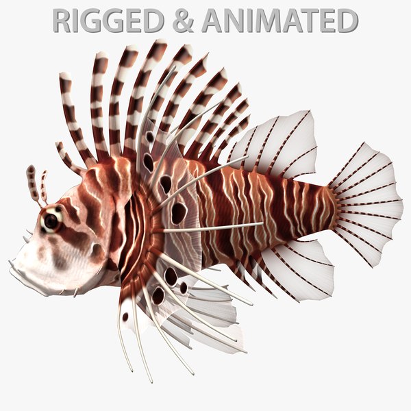 Lionfish 3D Models for Download | TurboSquid