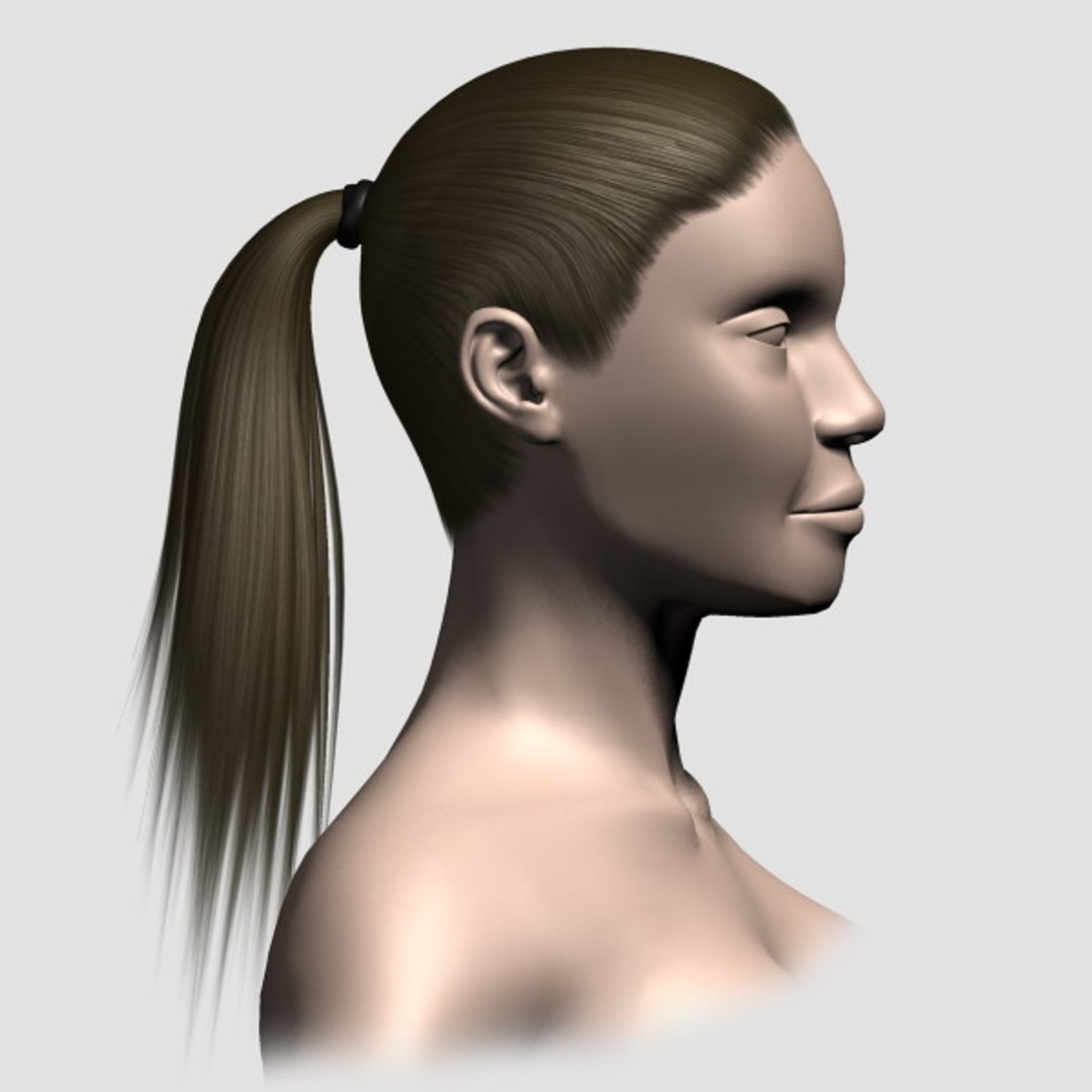 Hair Character Mesh 3d Model
