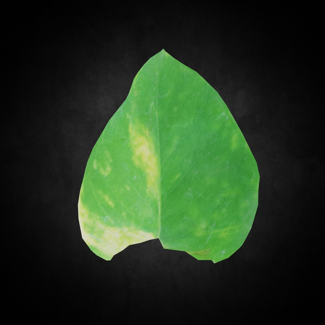 3D Model Low Poly Leaf 062 - TurboSquid 1852442