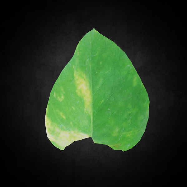 3D model Low Poly Leaf 062 - TurboSquid 1852442