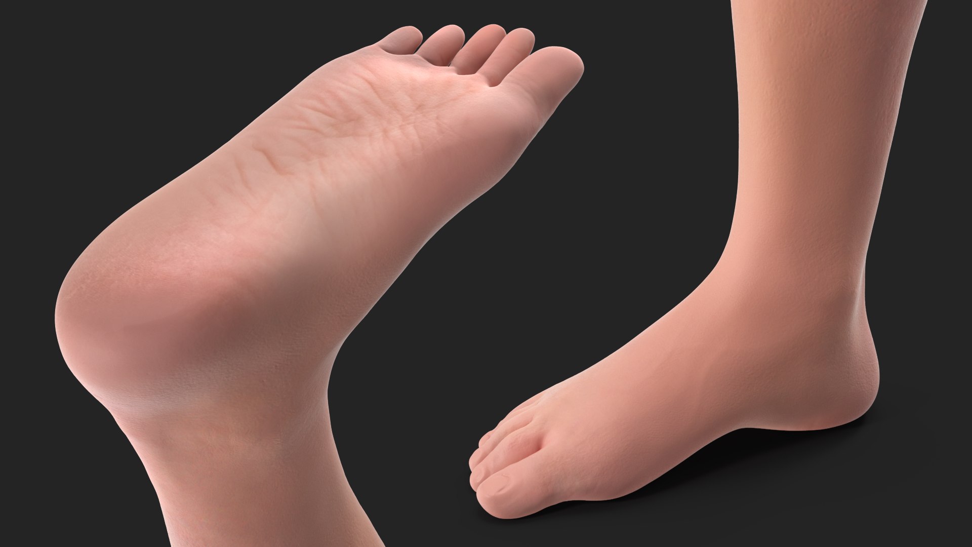 Leg Skin And Anatomy Asian Female 3D Model - TurboSquid 2310015