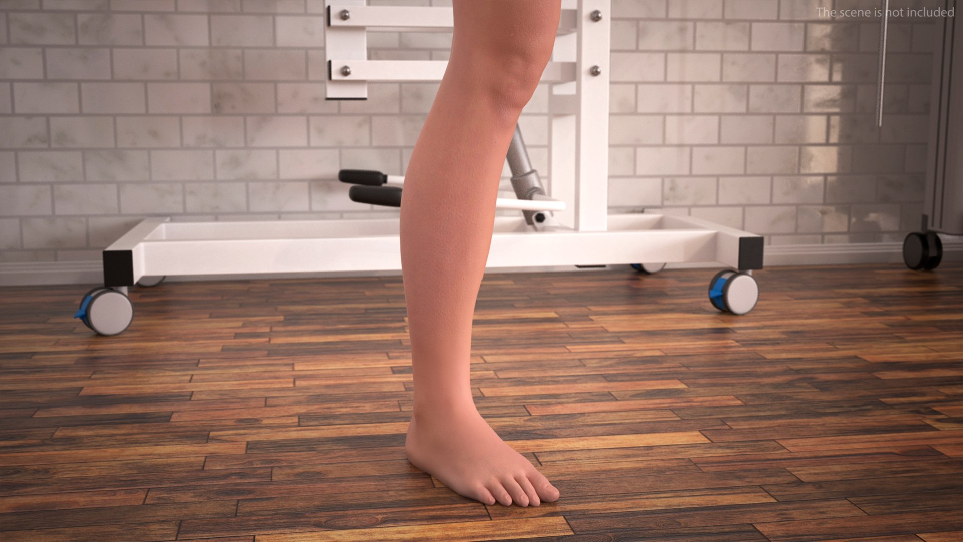 Leg Skin And Anatomy Asian Female 3D Model - TurboSquid 2310015