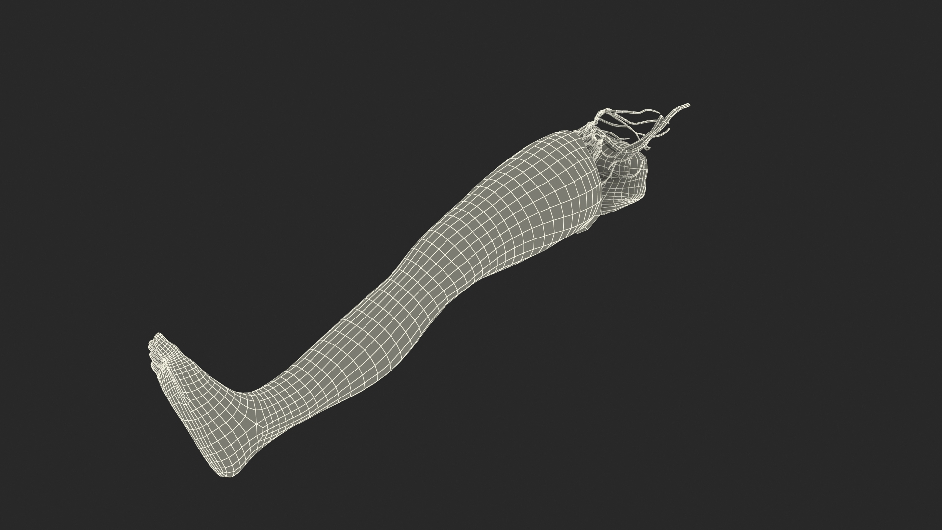 Leg Skin And Anatomy Asian Female 3D Model - TurboSquid 2310015