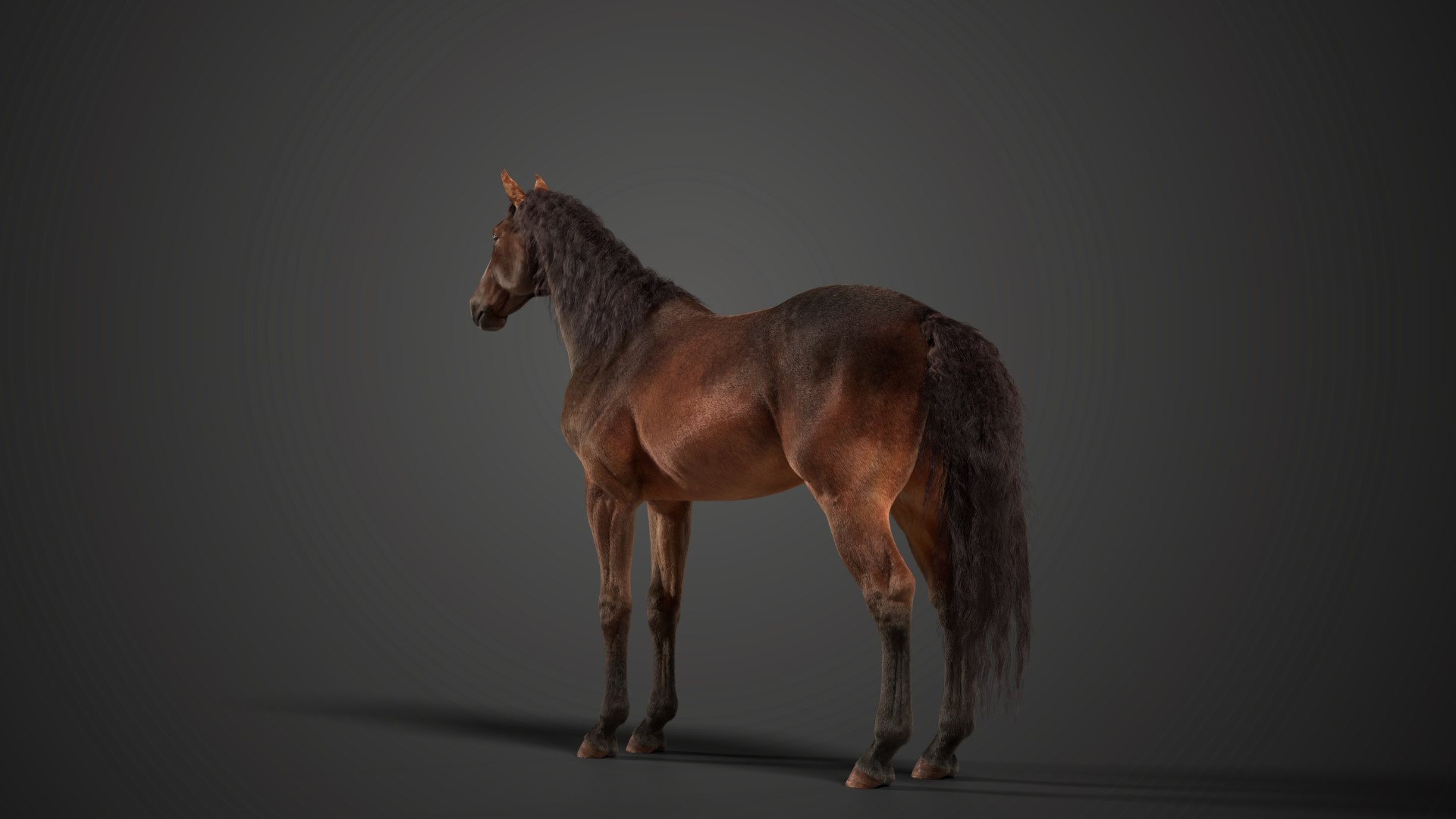 Brown Horse Animation VFX Grace 3D Model - TurboSquid 2133473