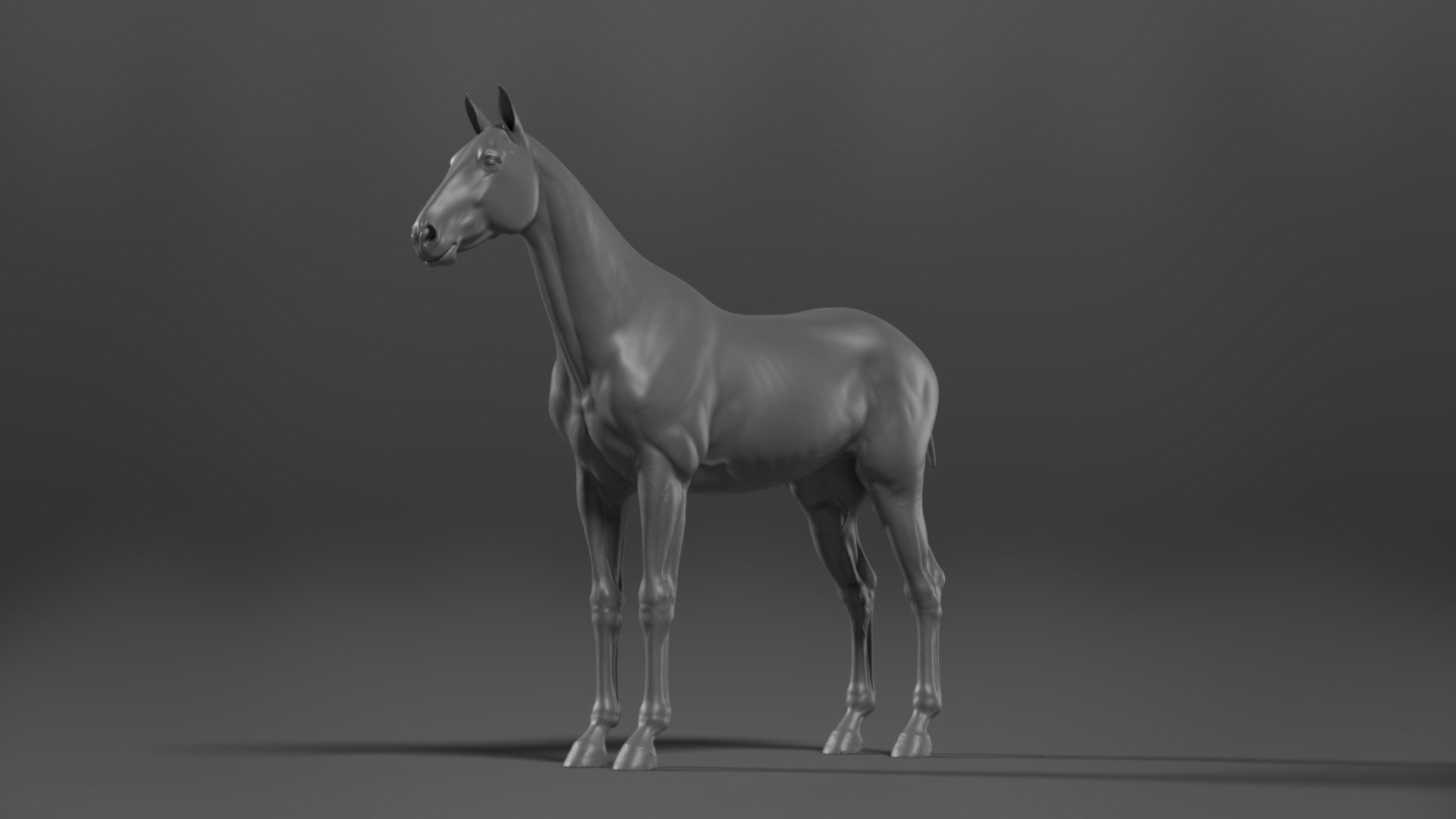 Brown Horse Animation VFX Grace 3D Model - TurboSquid 2133473