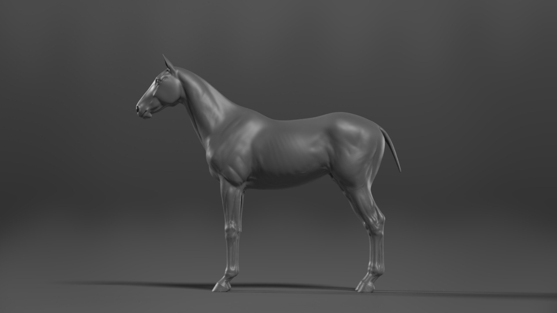 Brown Horse Animation VFX Grace 3D Model - TurboSquid 2133473