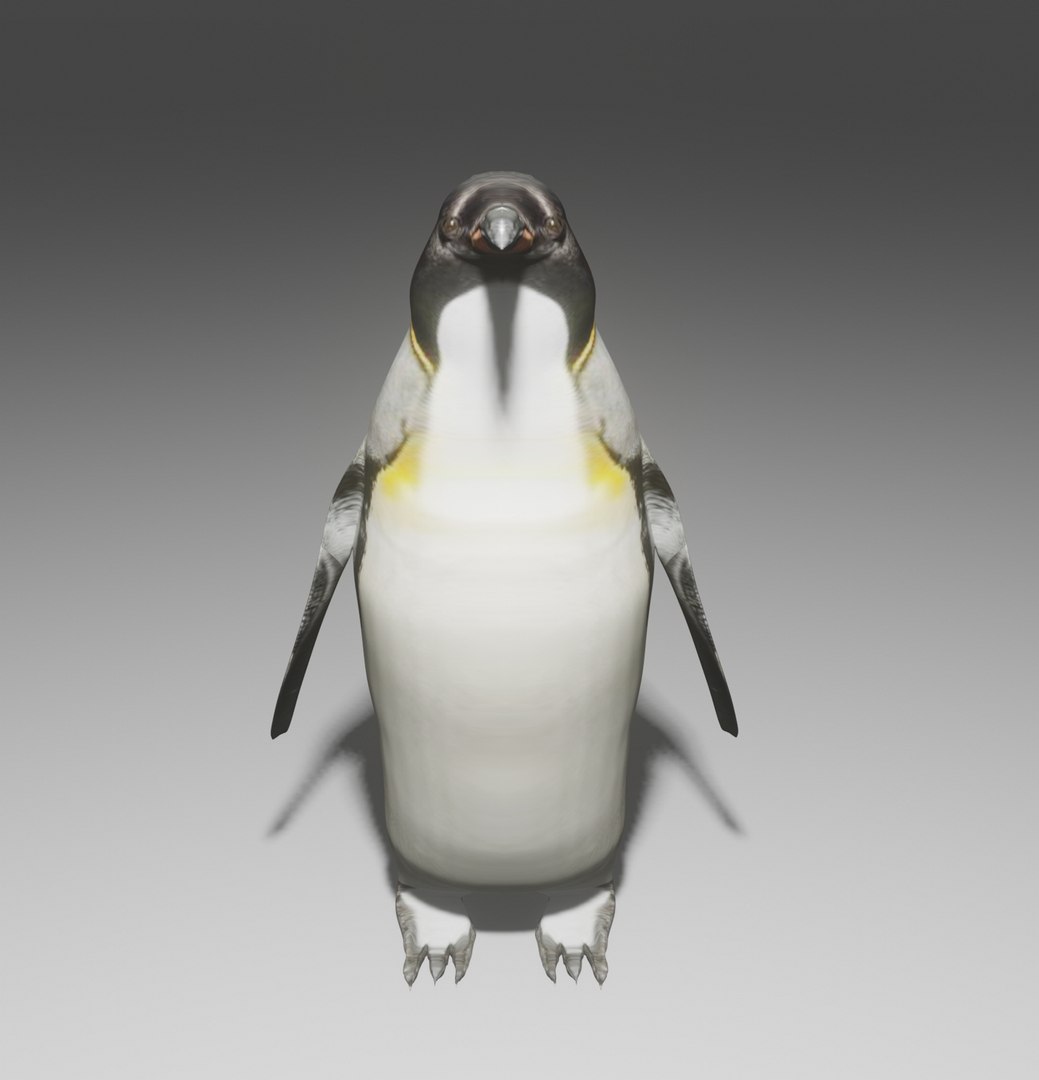 3D King penguin model - TurboSquid 1956605