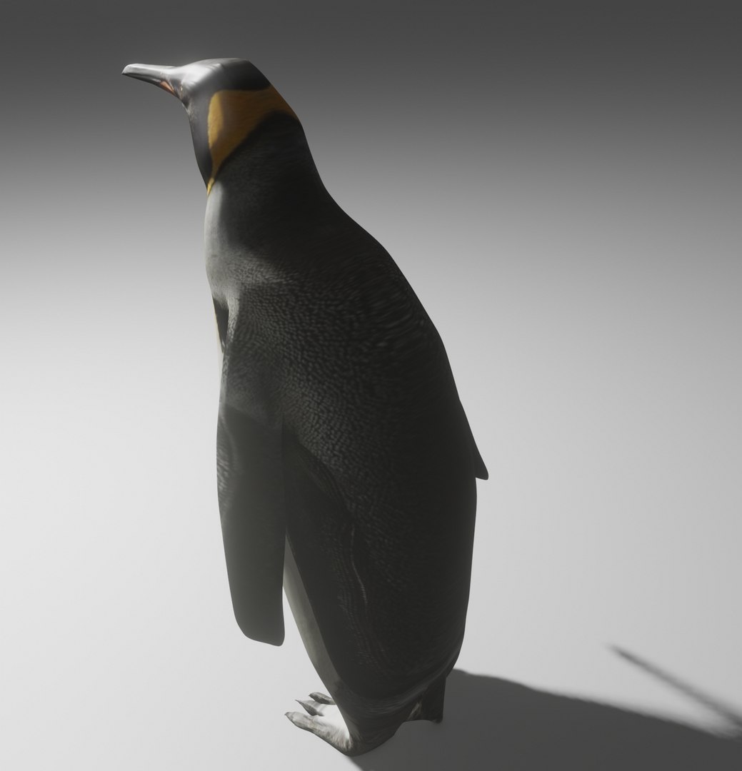 3D King penguin model - TurboSquid 1956605