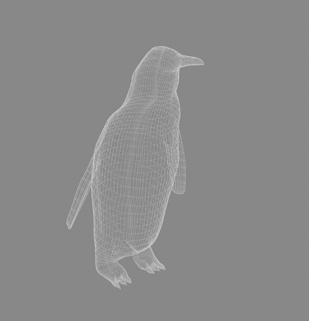 3D King penguin model - TurboSquid 1956605