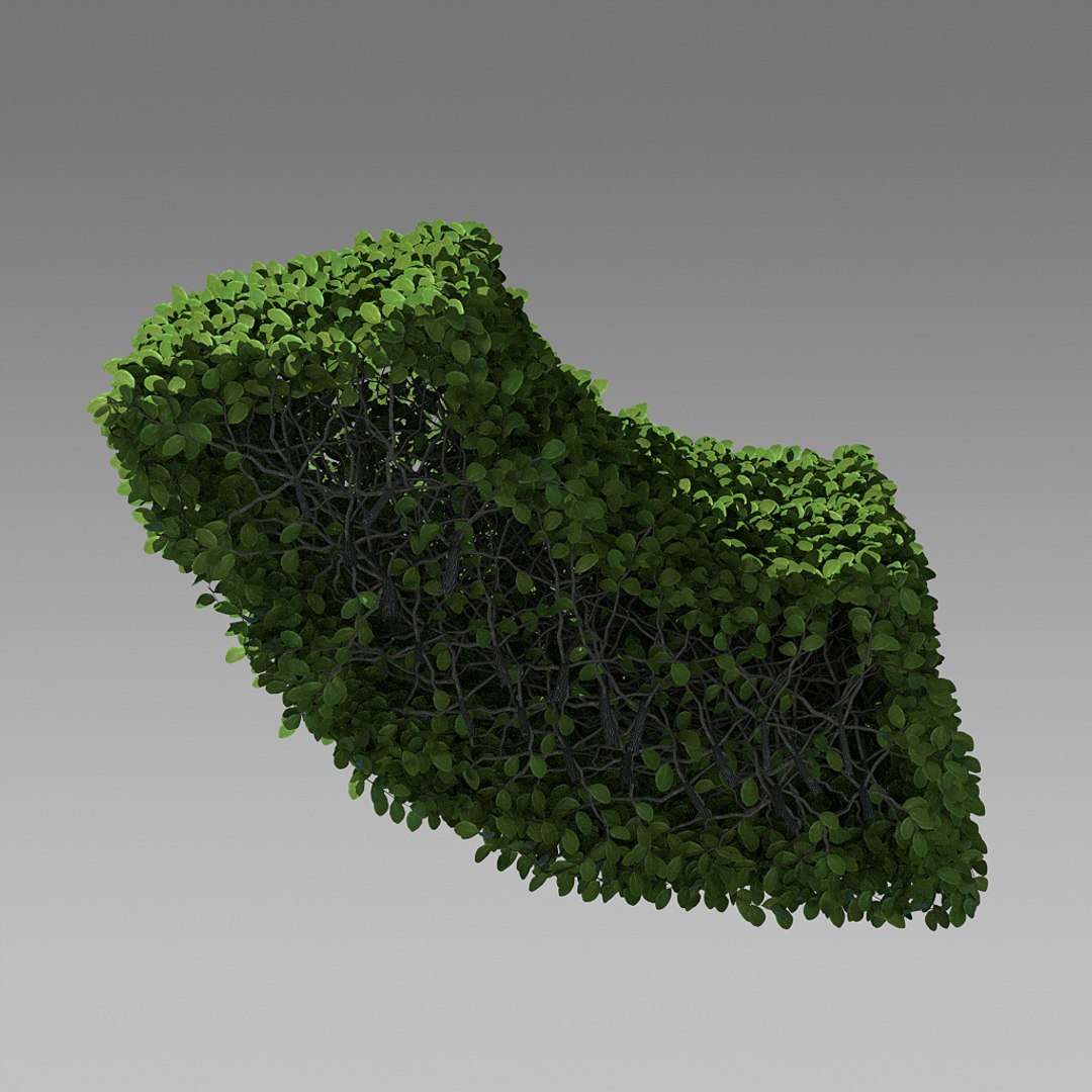 Hedge Bushes 3d Model