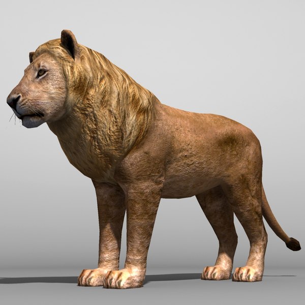 lion family 3d max