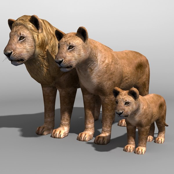 3D Aslan Models | TurboSquid