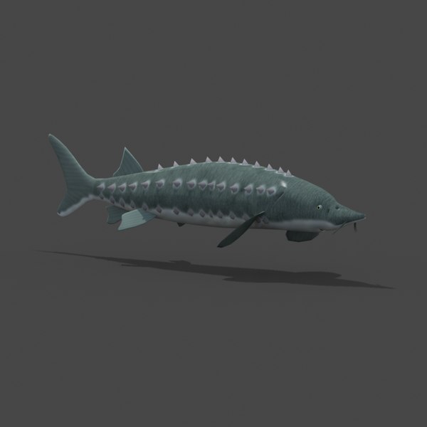 modelo 3d chinese sturgeon - TurboSquid 1984722