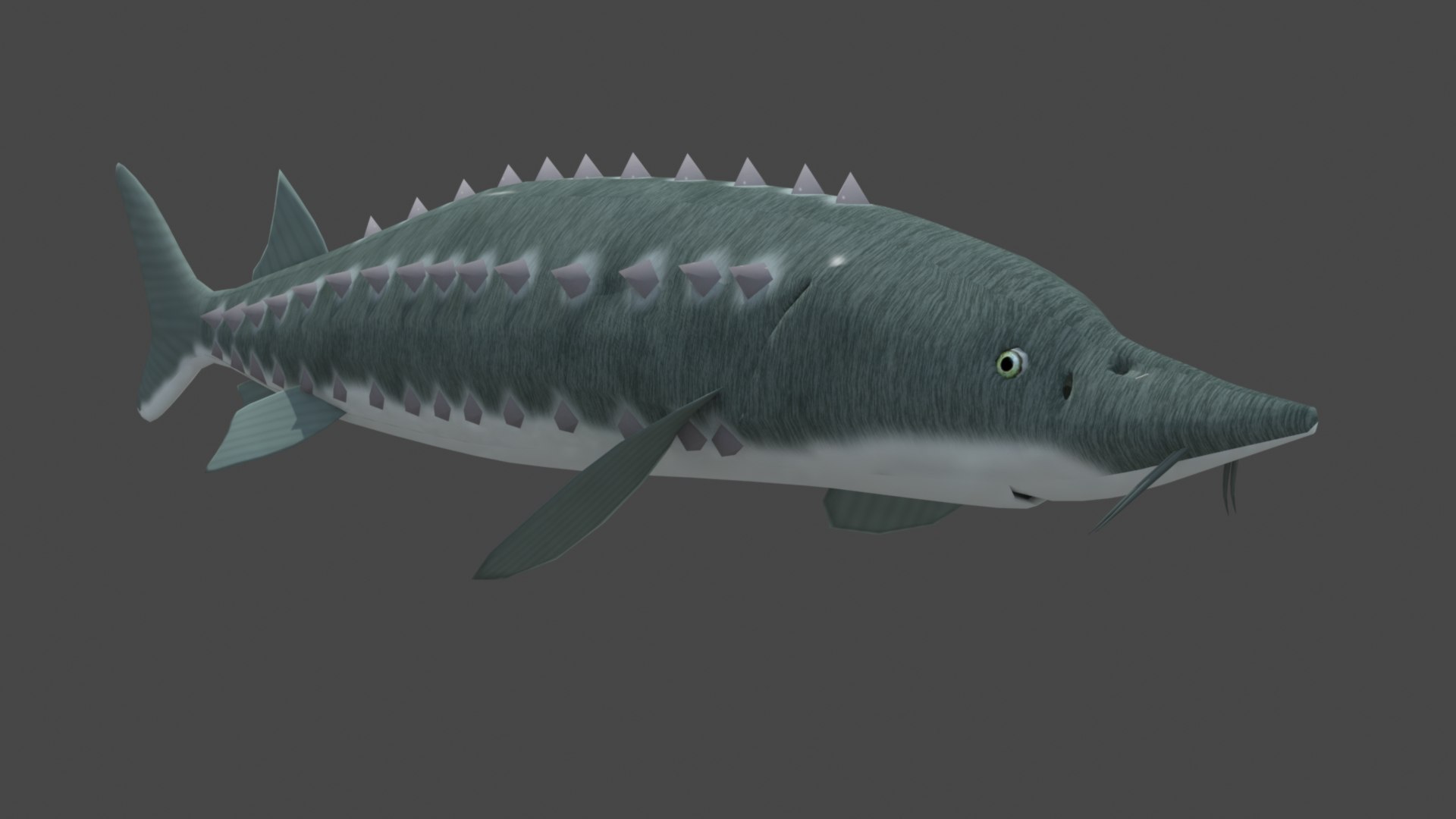 Chinese Sturgeon 3D Model - TurboSquid 1984722
