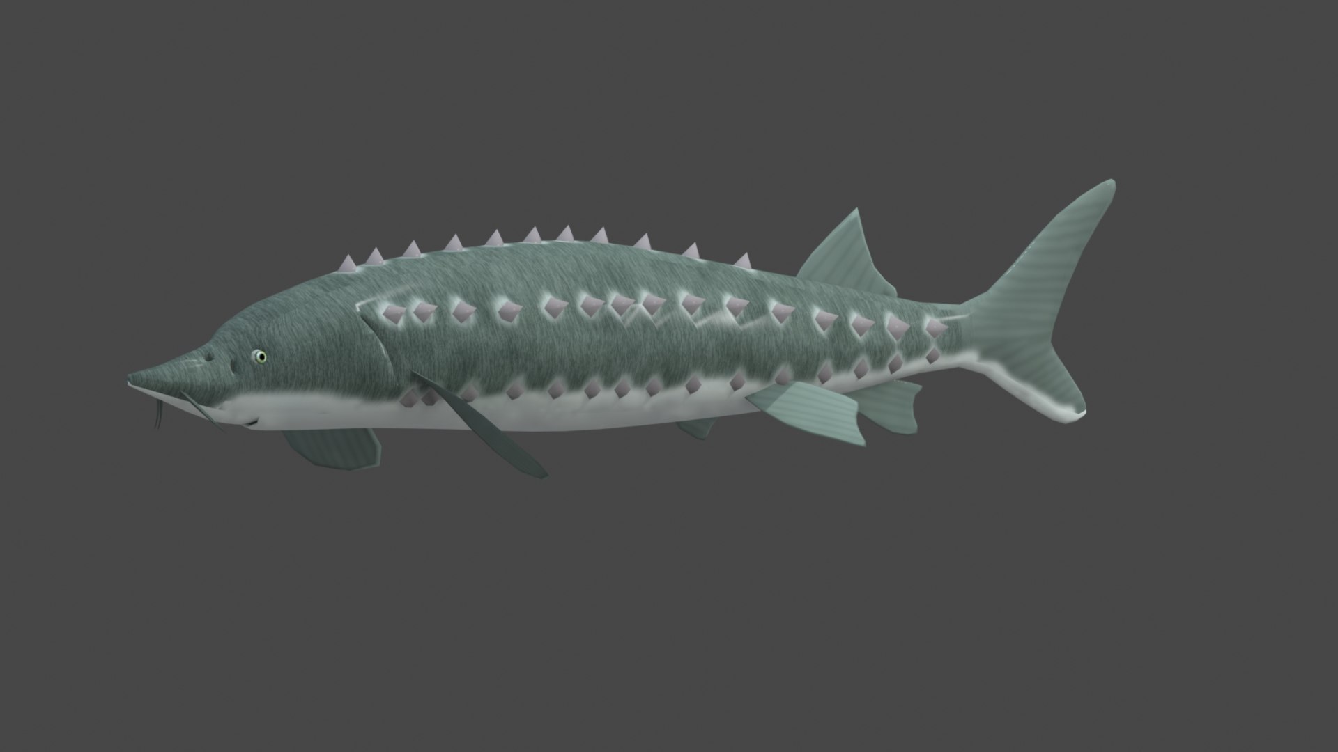 Chinese Sturgeon 3D Model - TurboSquid 1984722