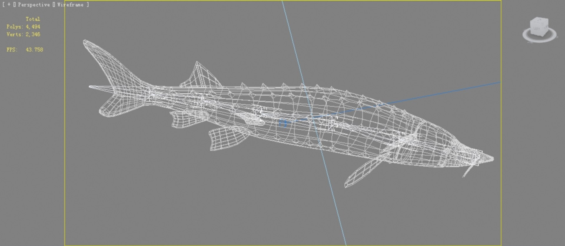 Chinese Sturgeon 3D Model - TurboSquid 1984722