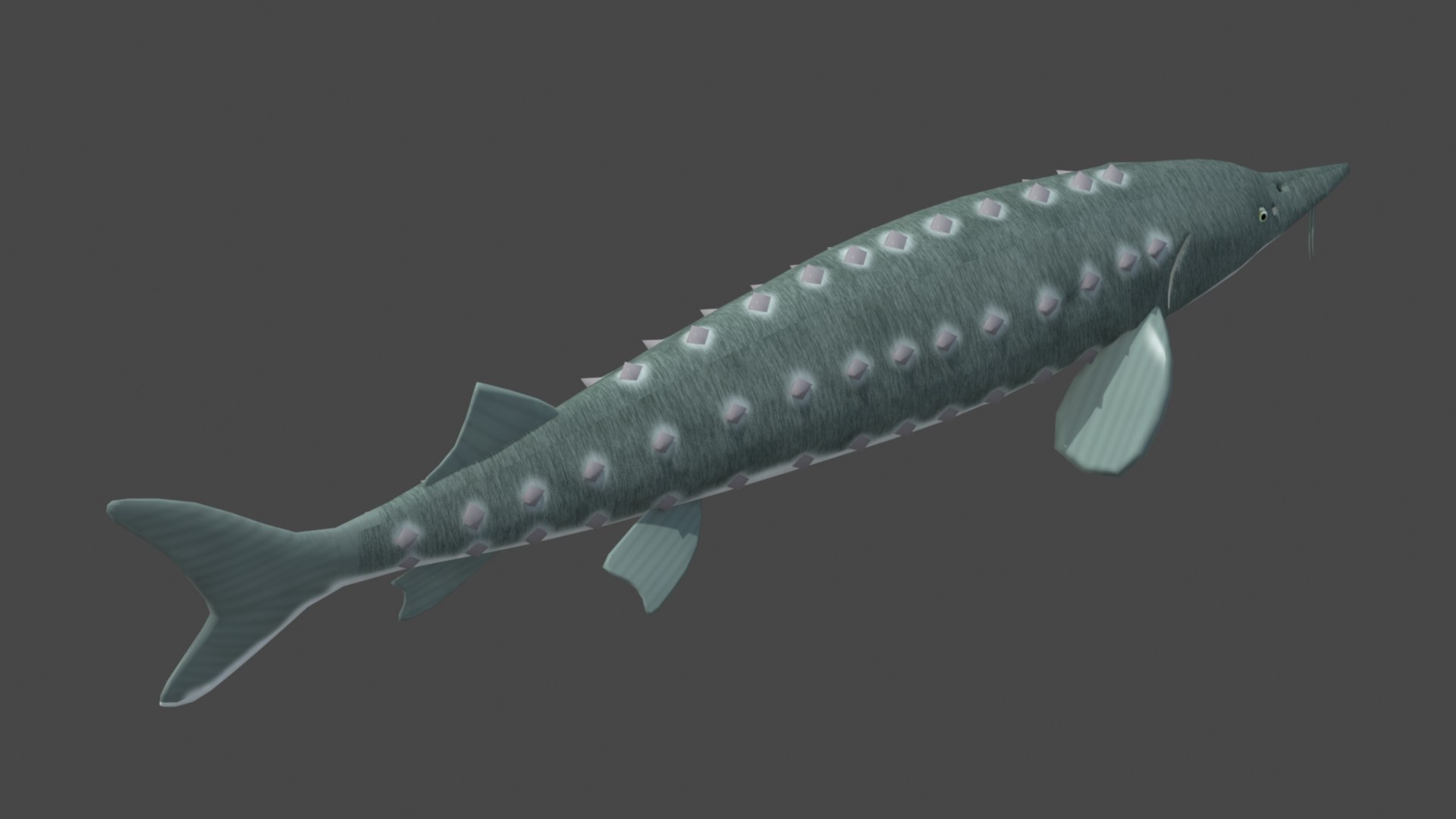 Chinese Sturgeon 3D Model - TurboSquid 1984722