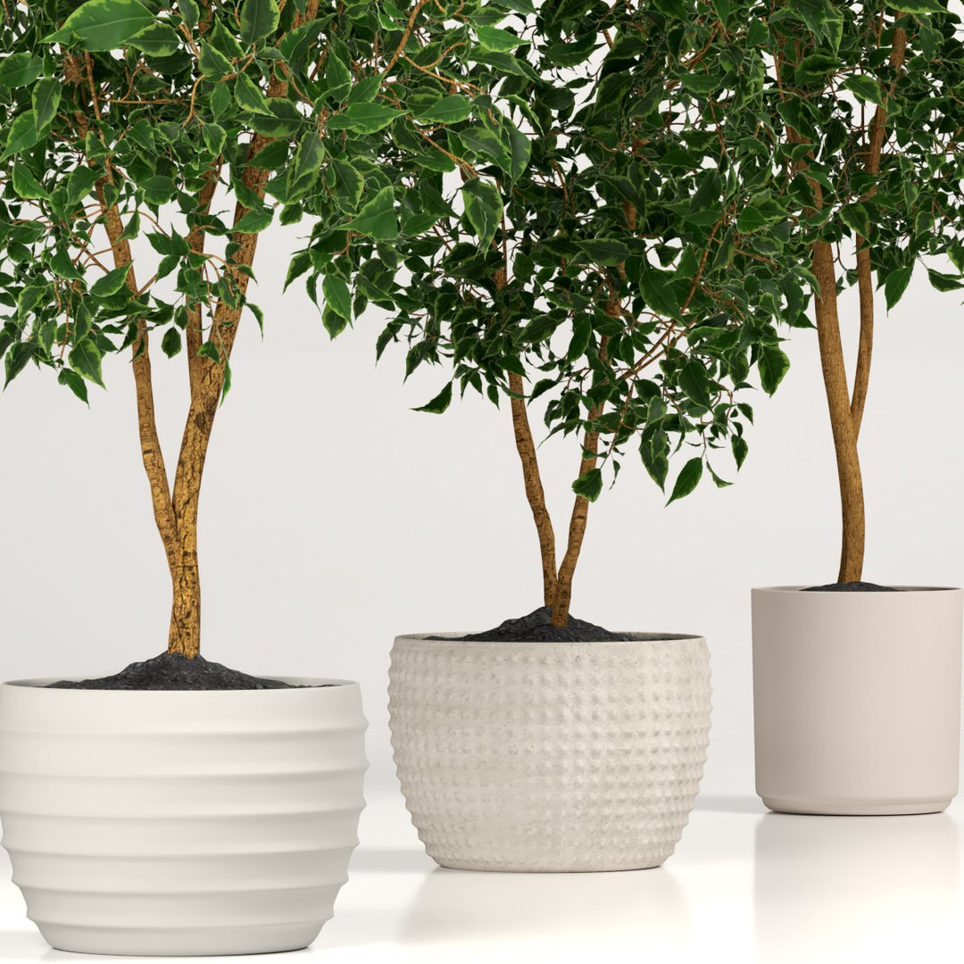 3D tree plant nature model - TurboSquid 1431277