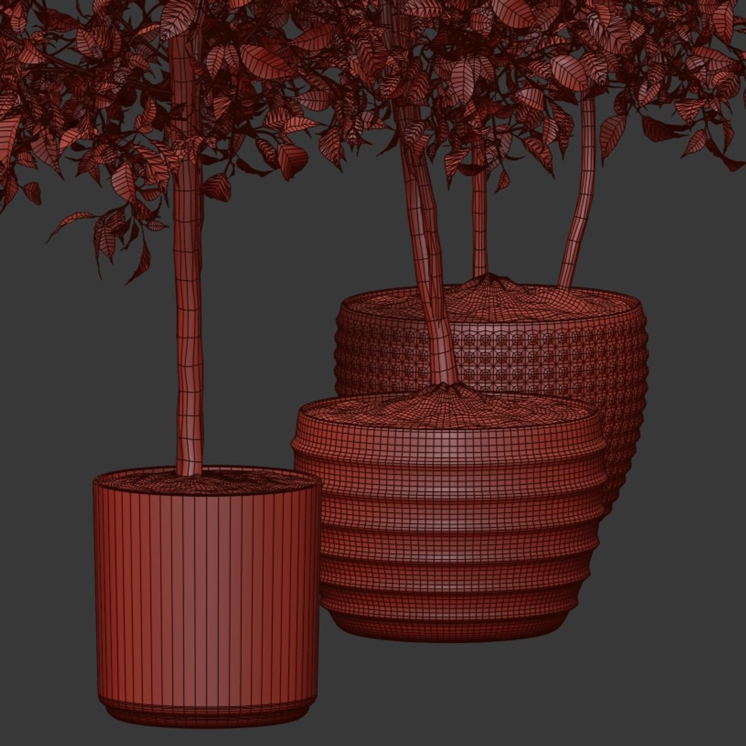 3D tree plant nature model - TurboSquid 1431277