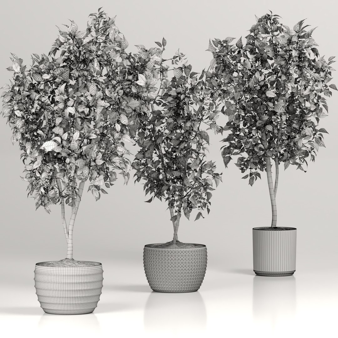 3D tree plant nature model - TurboSquid 1431277