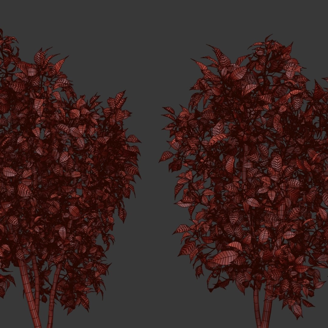 3D tree plant nature model - TurboSquid 1431277