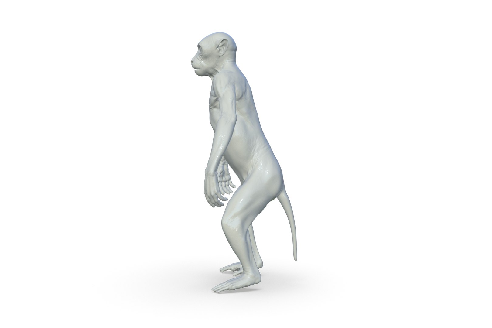 Monkey 3D Model - TurboSquid 2208415