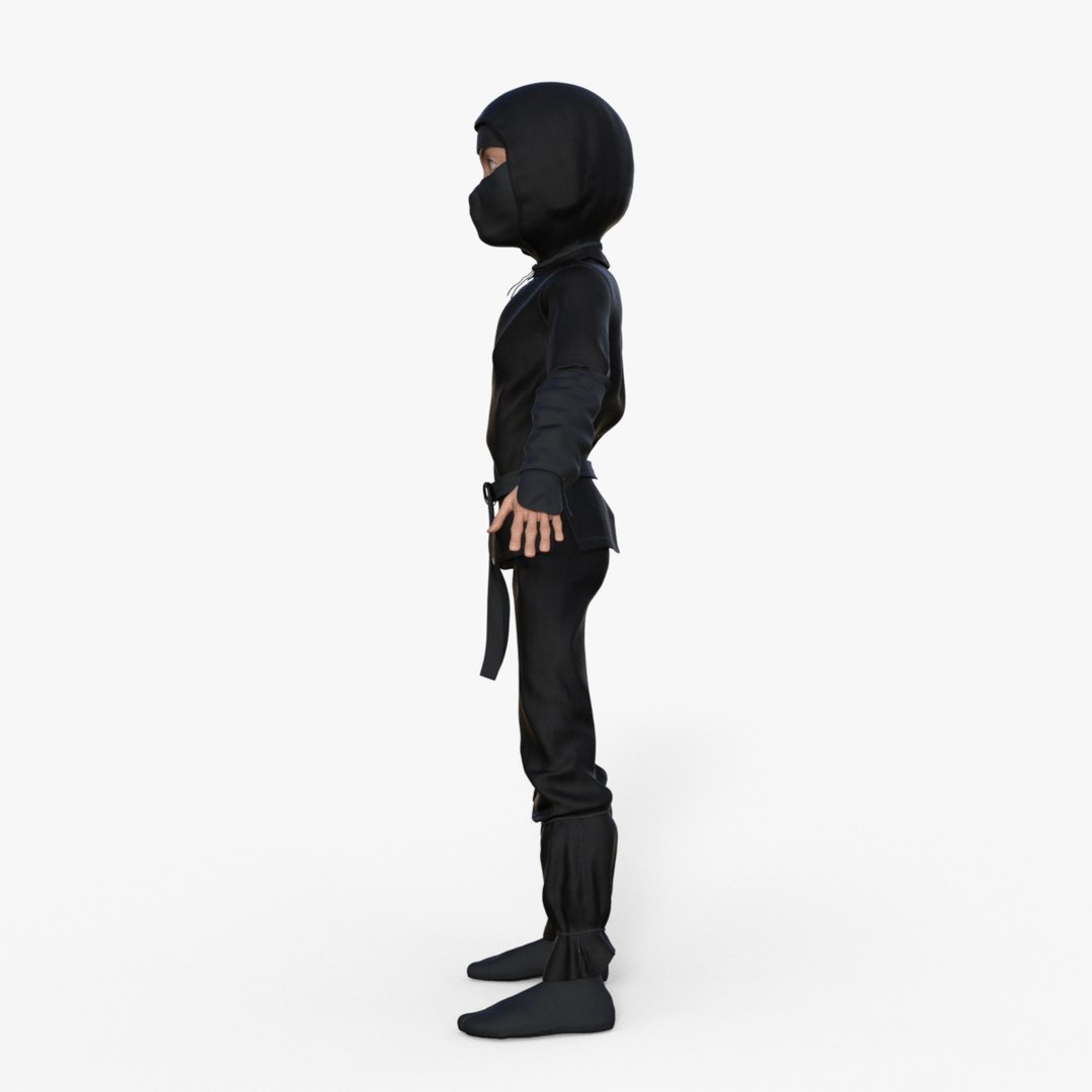Ninja Rigged 3D model - TurboSquid 2095844