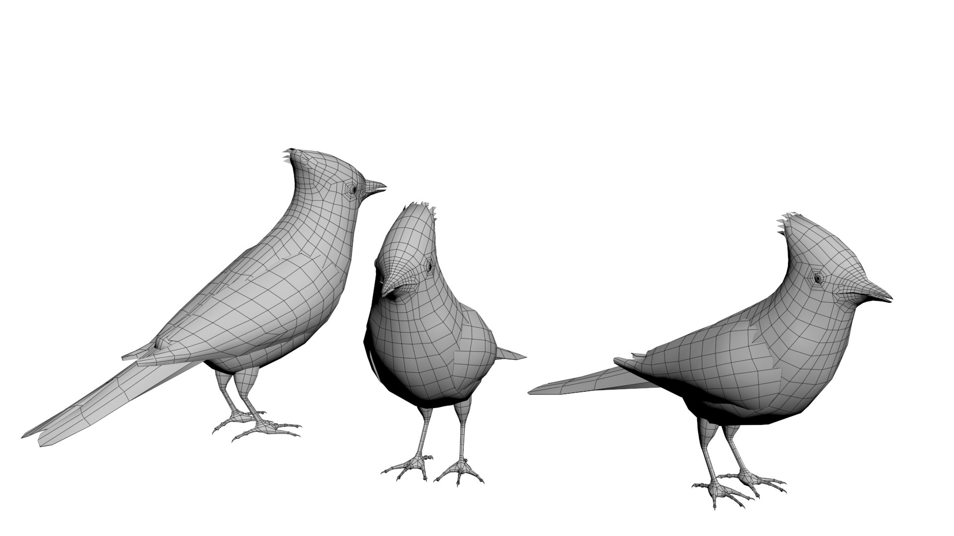 Blue Jay Bird Model - TurboSquid 1770321