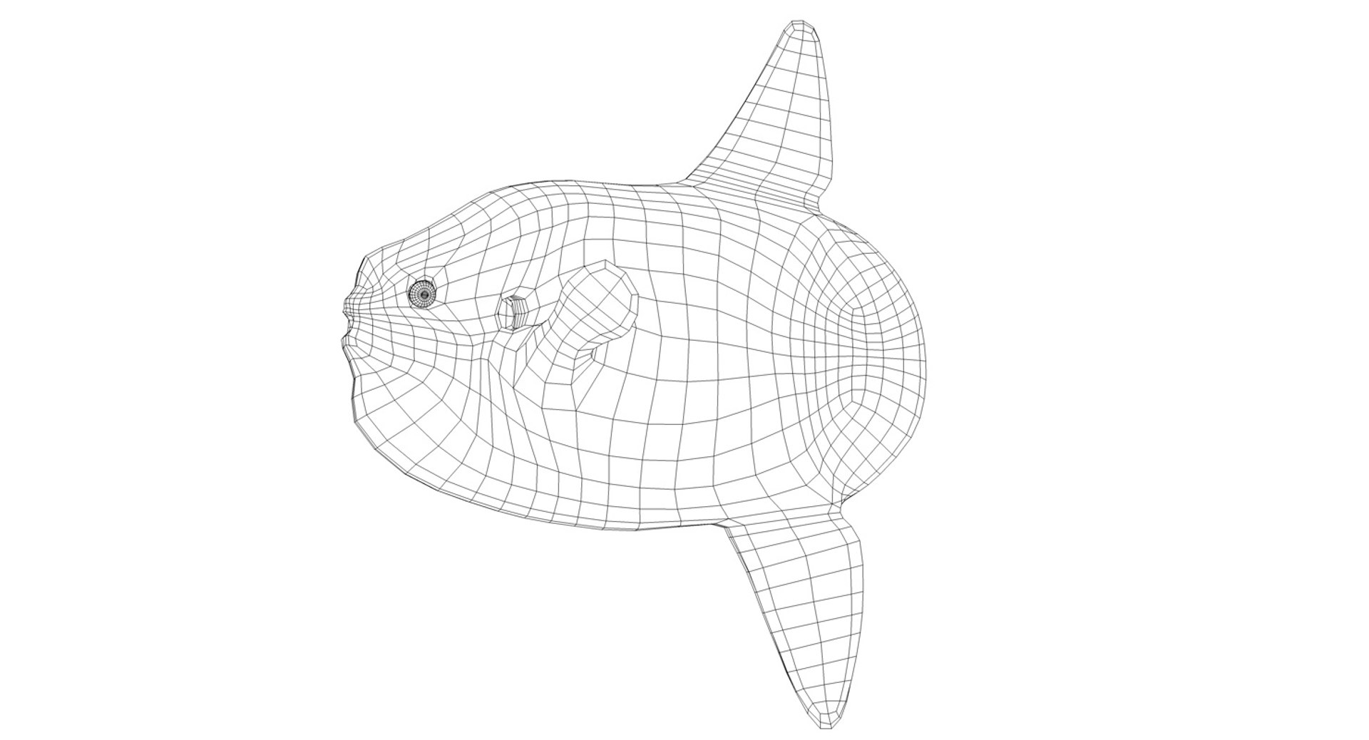 3D Model Southern Sunfish - TurboSquid 1201038