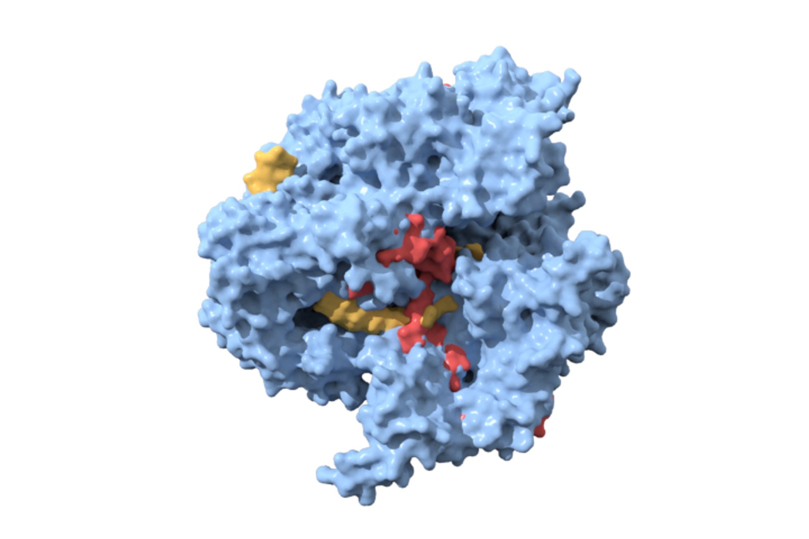 Crispr Cas9 3D - TurboSquid 1187179