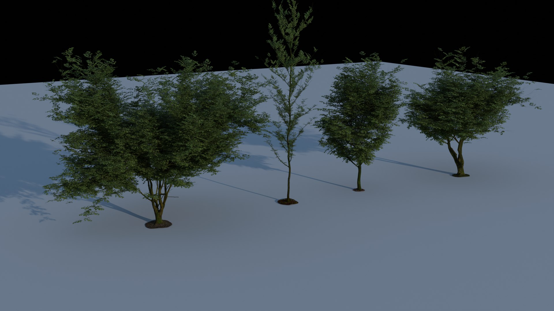 Realistic Tree 3D Model - TurboSquid 2048647