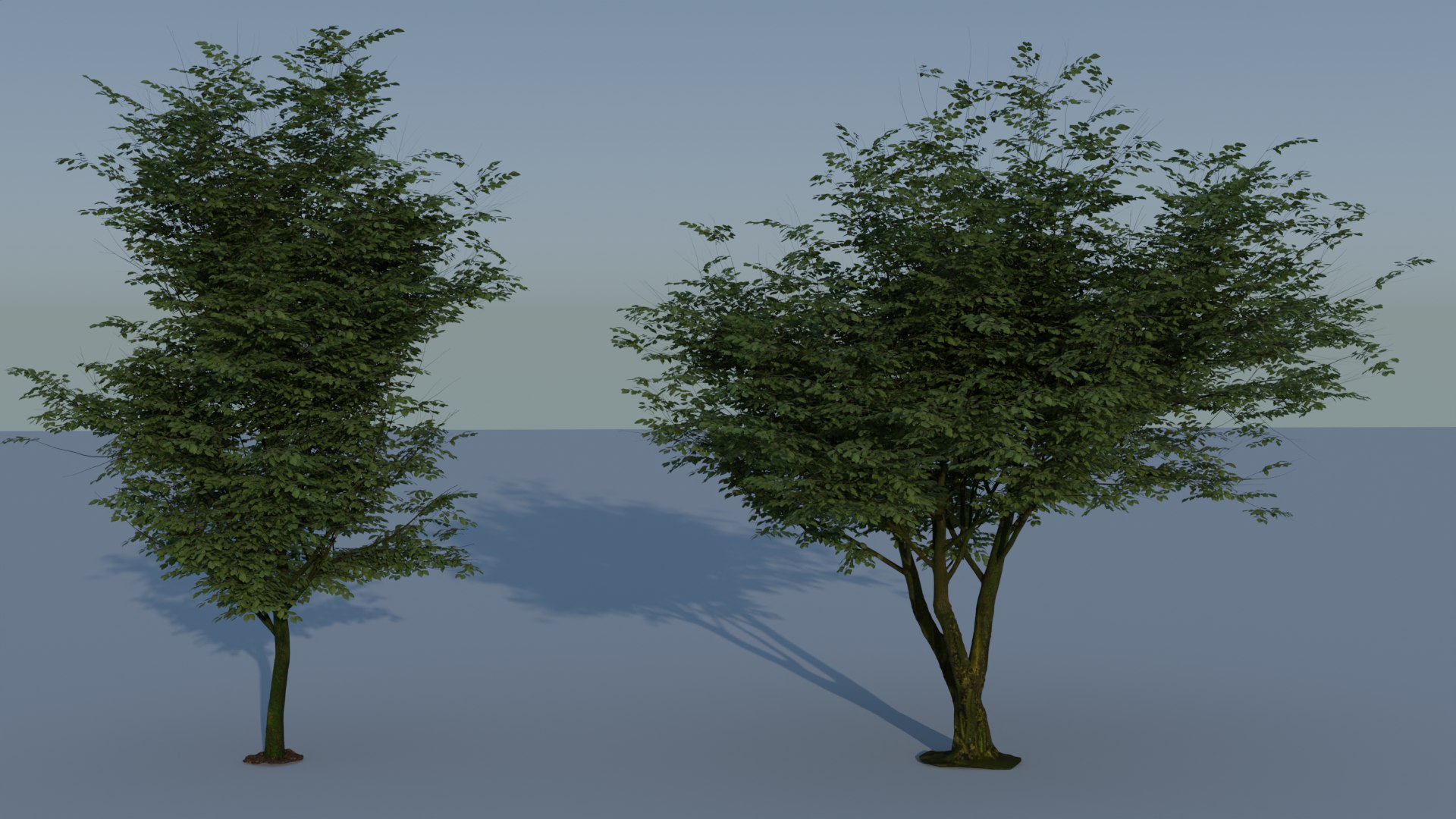 Realistic Tree 3D Model - TurboSquid 2048647