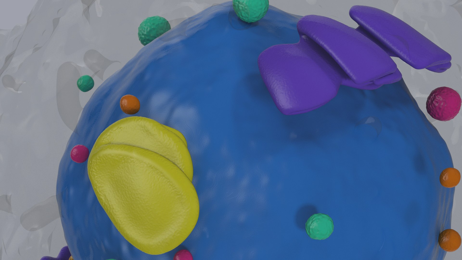 Lymphocyte Blood Cell 3D Model - TurboSquid 2130574