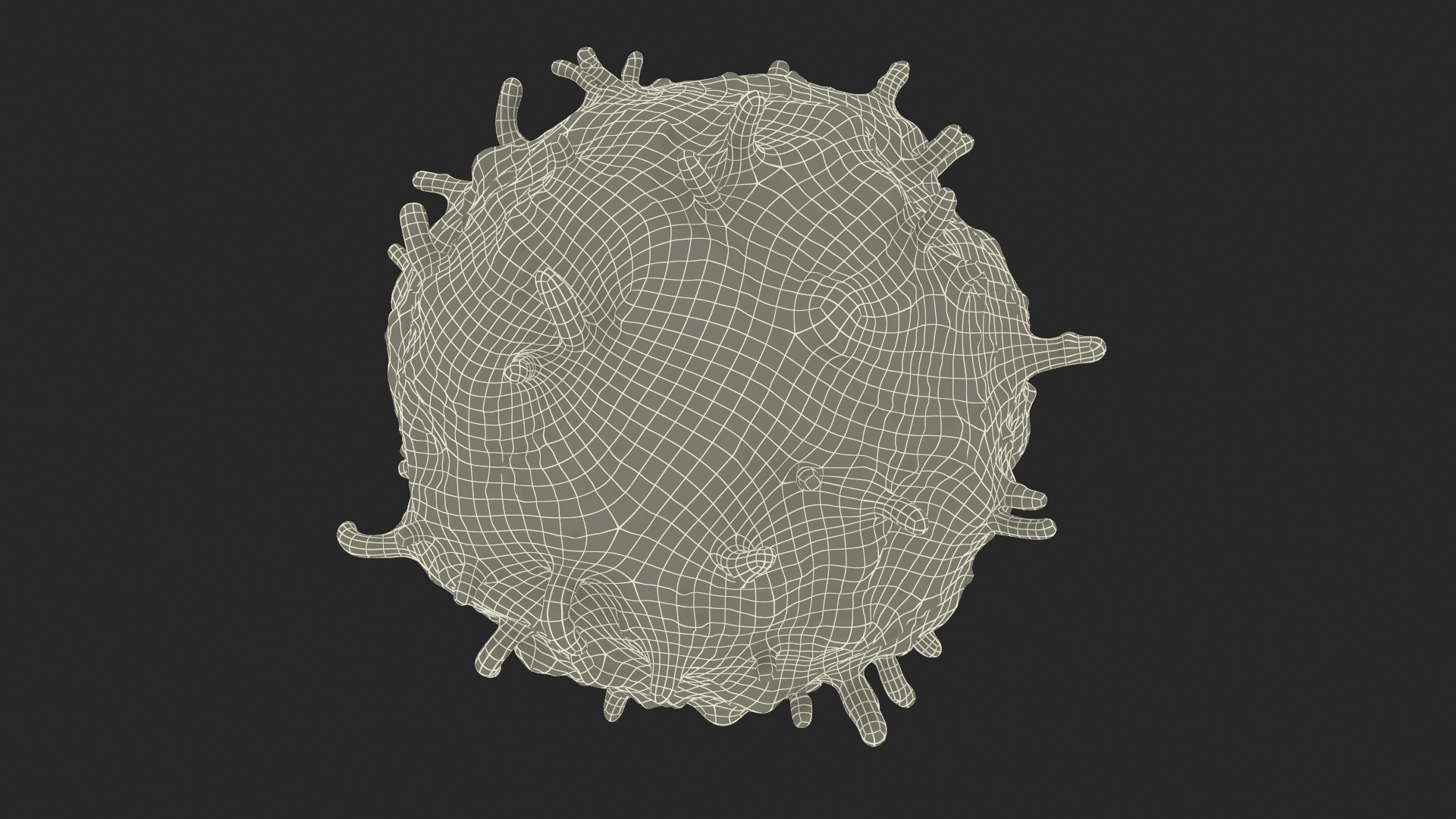 Lymphocyte Blood Cell 3D Model - TurboSquid 2130574