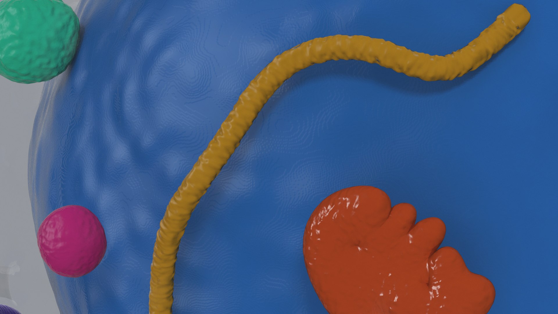 Lymphocyte Blood Cell 3D Model - TurboSquid 2130574