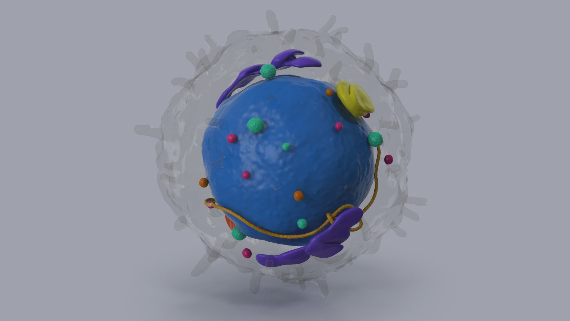 Lymphocyte Blood Cell 3D Model - TurboSquid 2130574