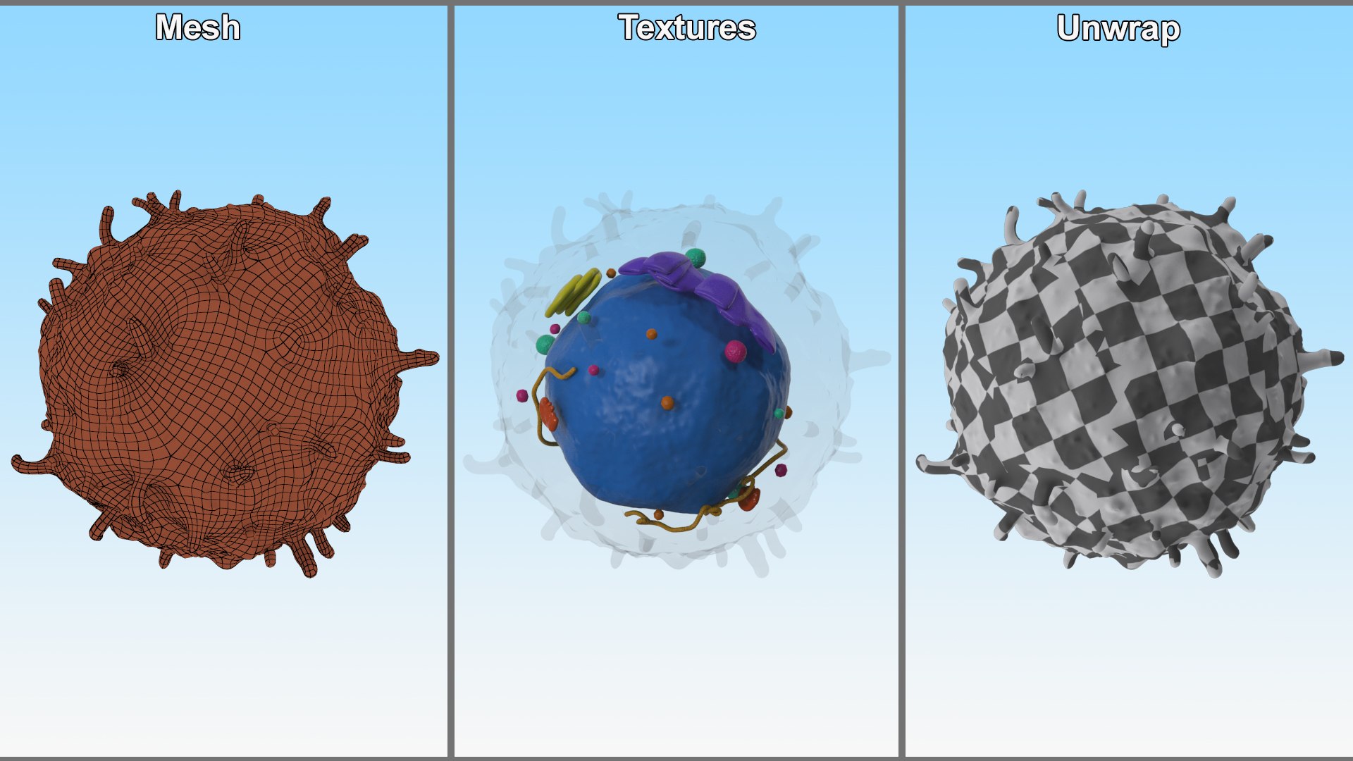 Lymphocyte Blood Cell 3D Model - TurboSquid 2130574