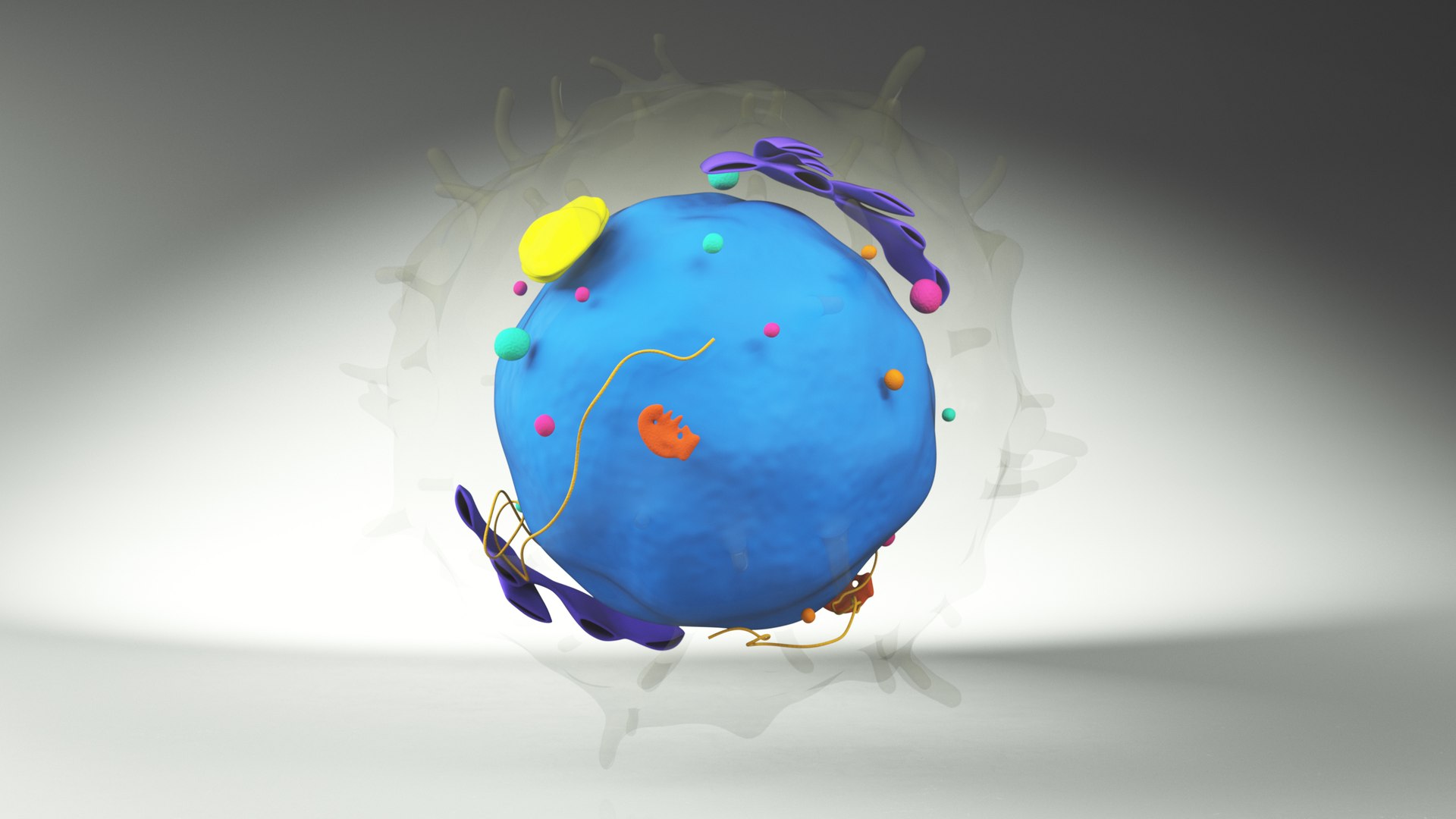 Lymphocyte Blood Cell 3D Model - TurboSquid 2130574