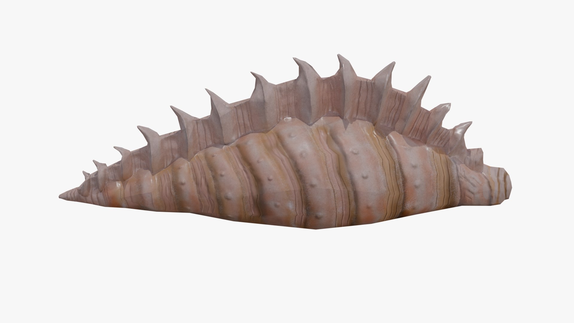3D Sea Shell - TurboSquid 1569496