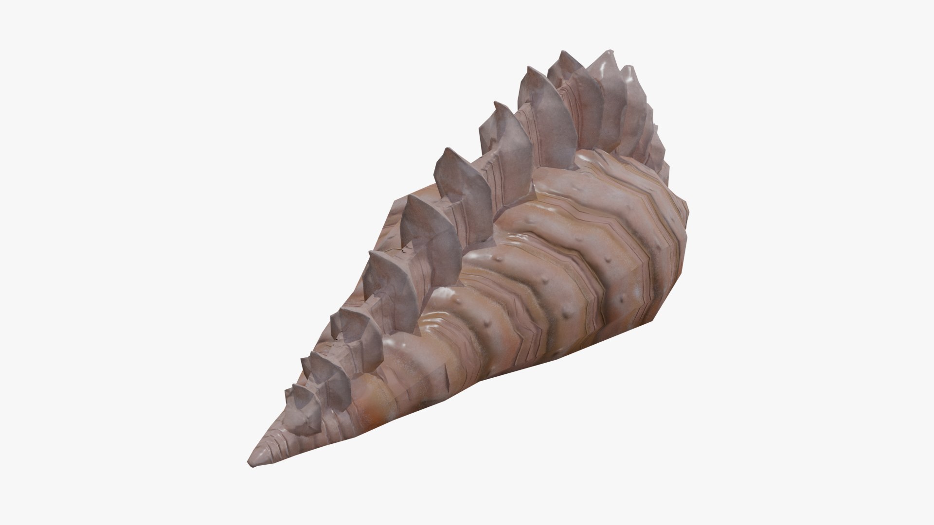 3D Sea Shell - TurboSquid 1569496