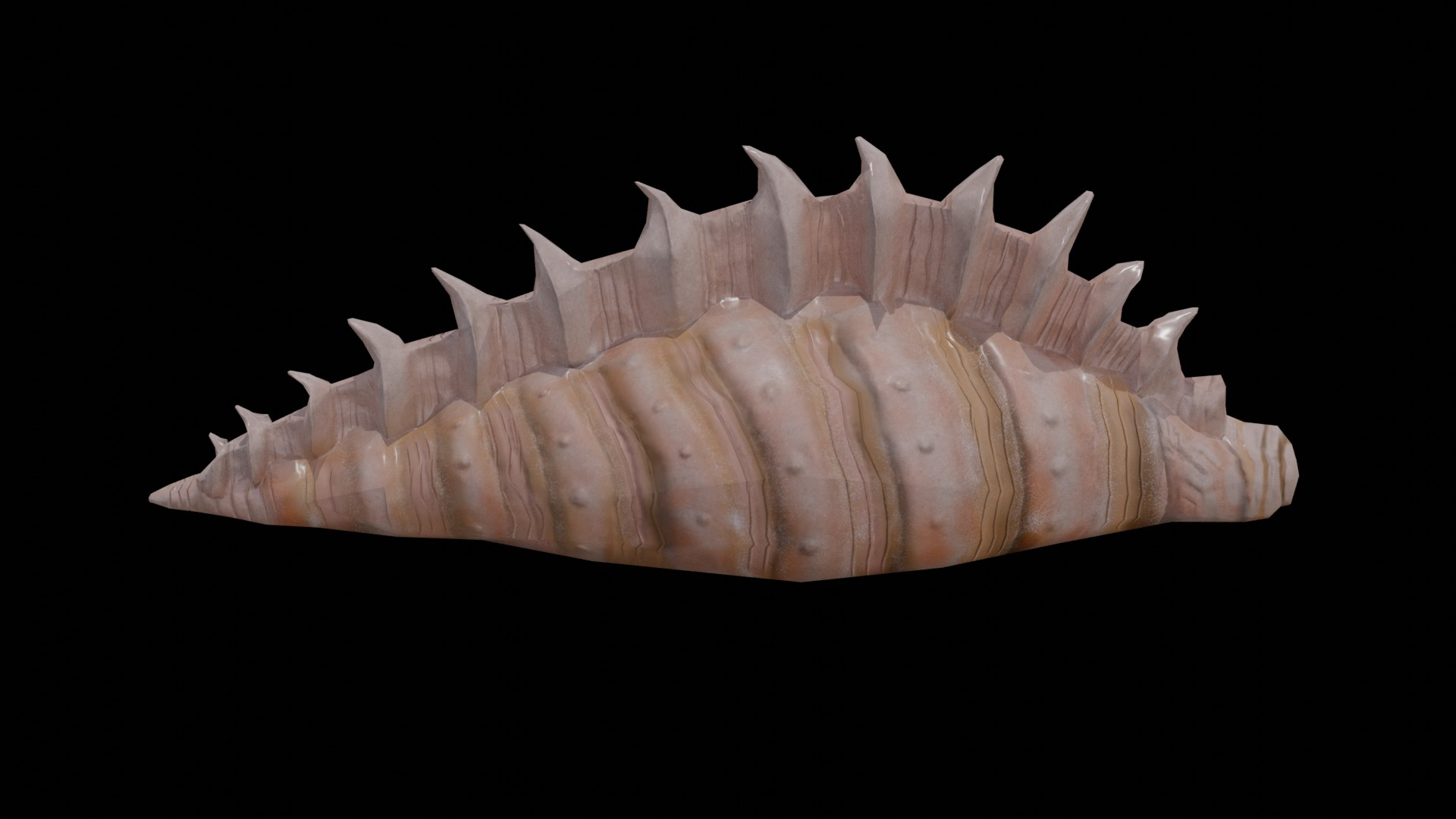 3D Sea Shell - TurboSquid 1569496