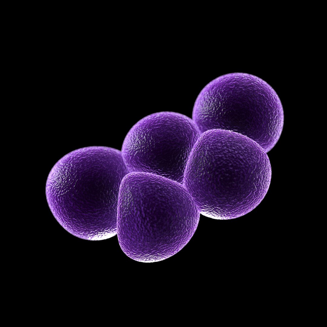 3D Model Microbes Bacteria - TurboSquid 1626193